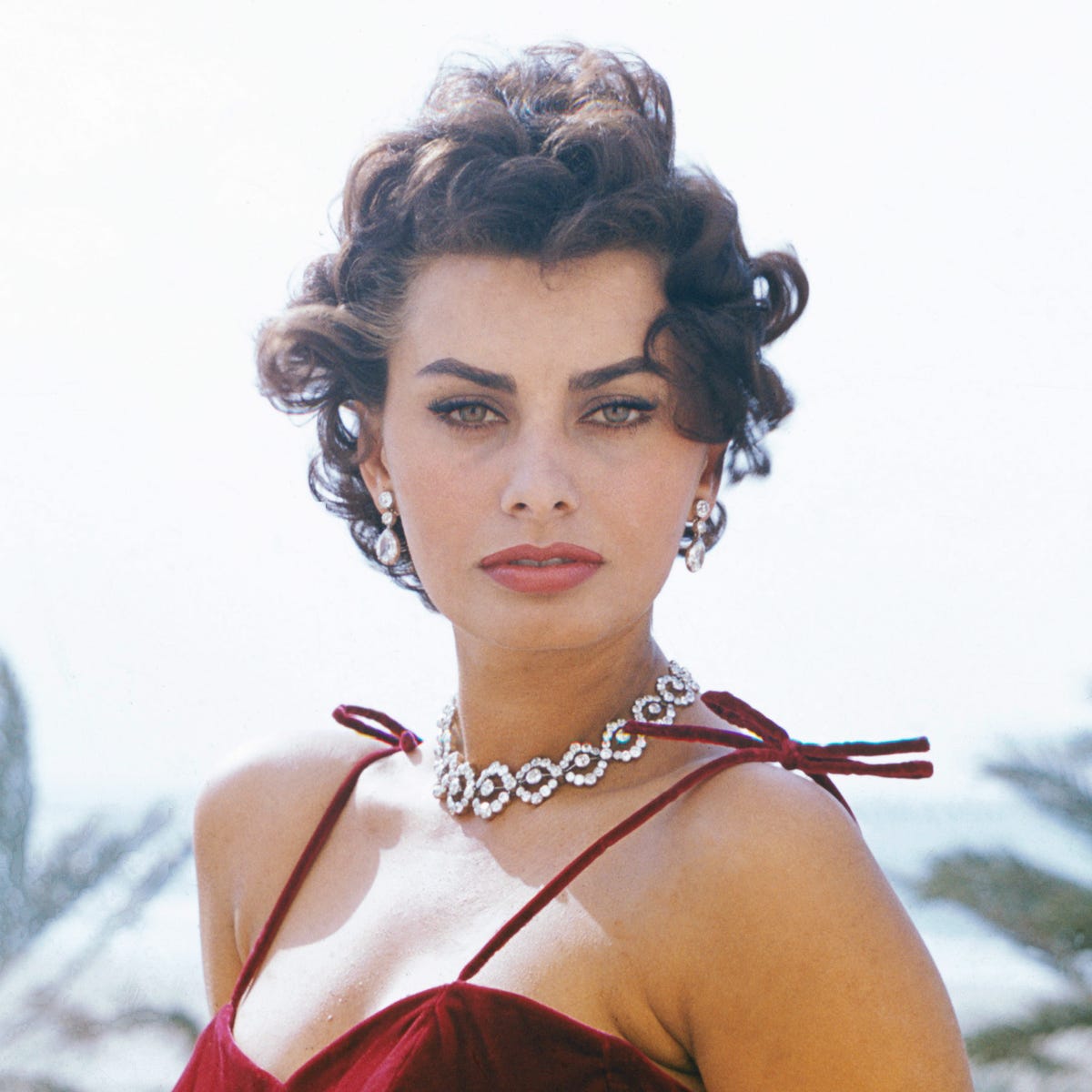 Is Sophia Loren Dead? Status Update as of March, 25, 2025 - DeadScan